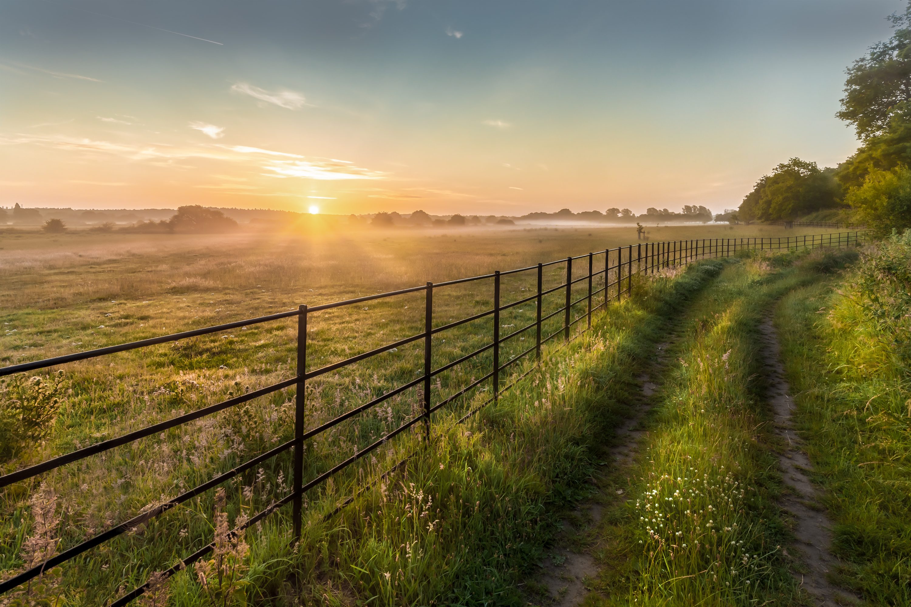 AdobeStock_514958103.jpeg
