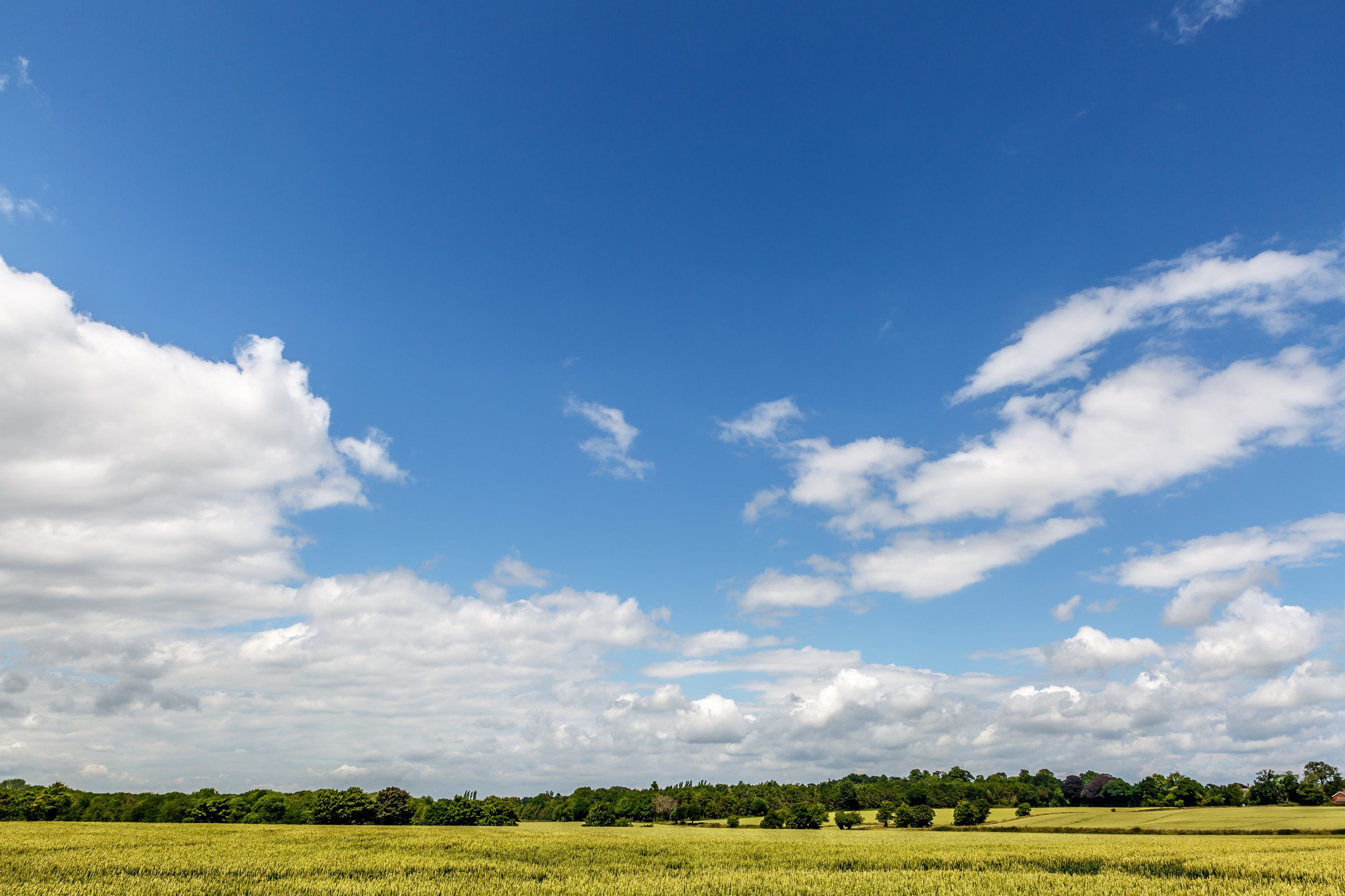 Rural-Norfolk.jpeg