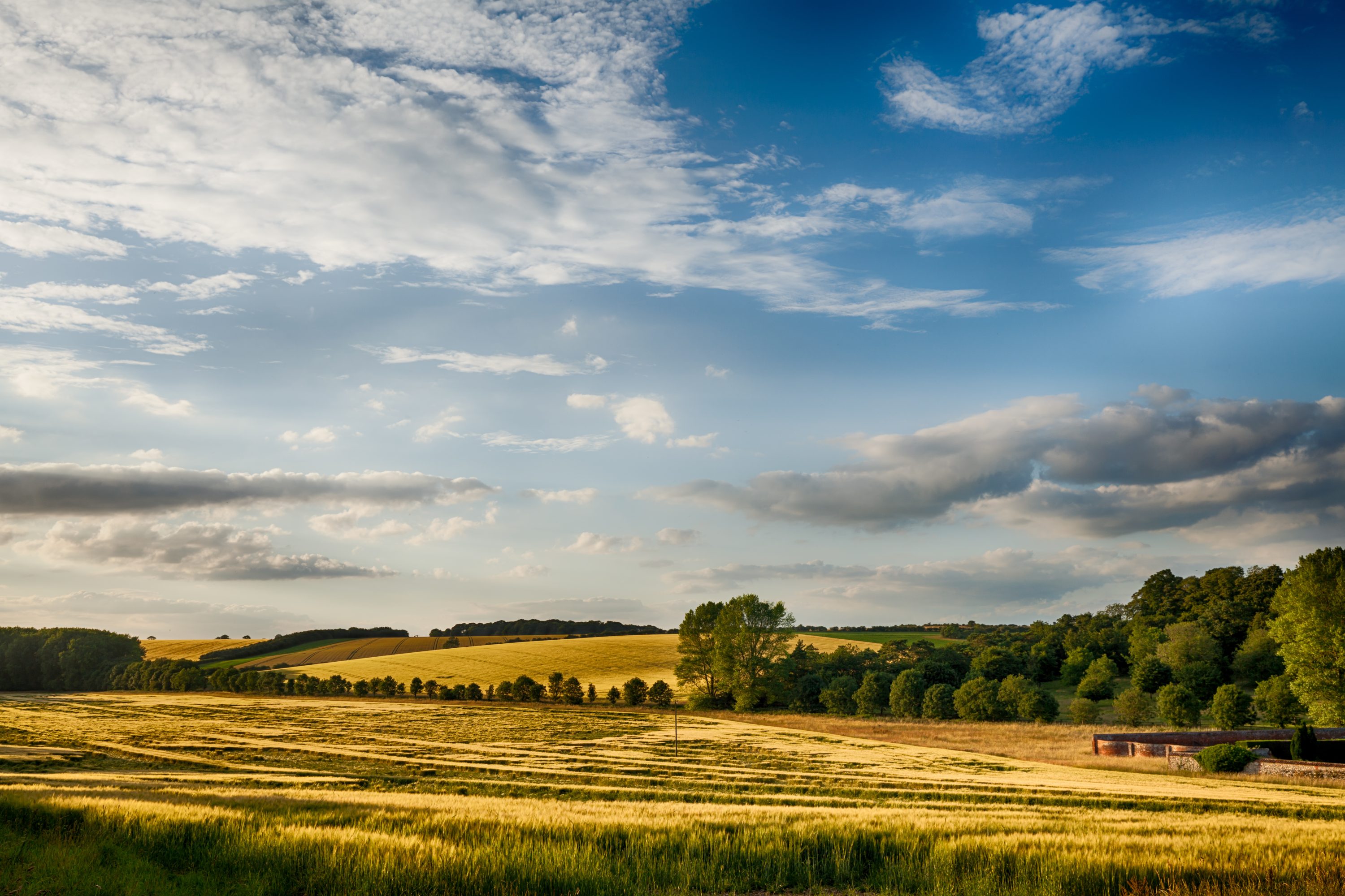 Norfolk-countryside.jpeg